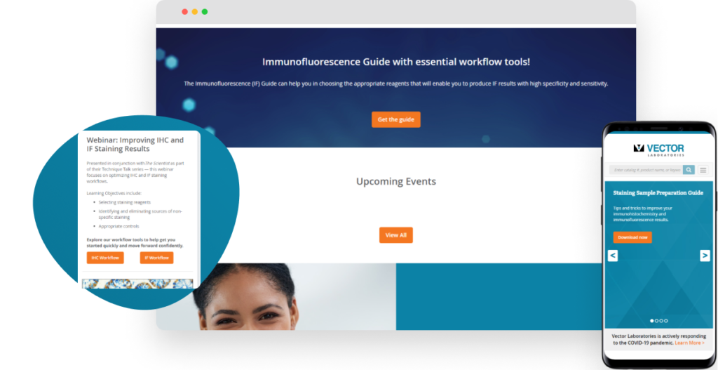 Vector Labs – Folio3 eCommerce